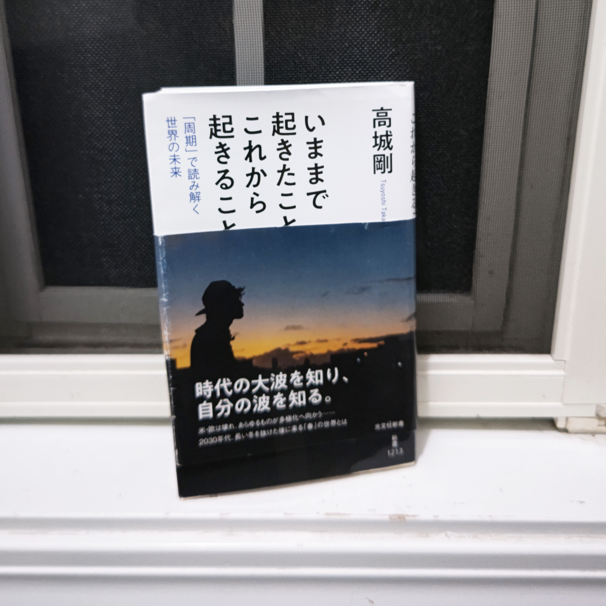 先日読んだ本「いままで起きたこと これから起きること」 » nancychannel